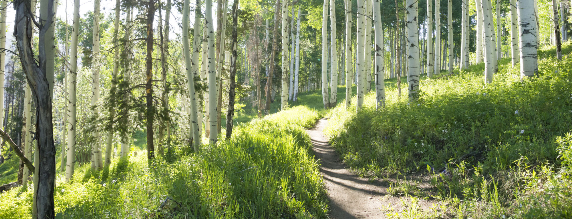 Hiking - Basalt Mountain Inn